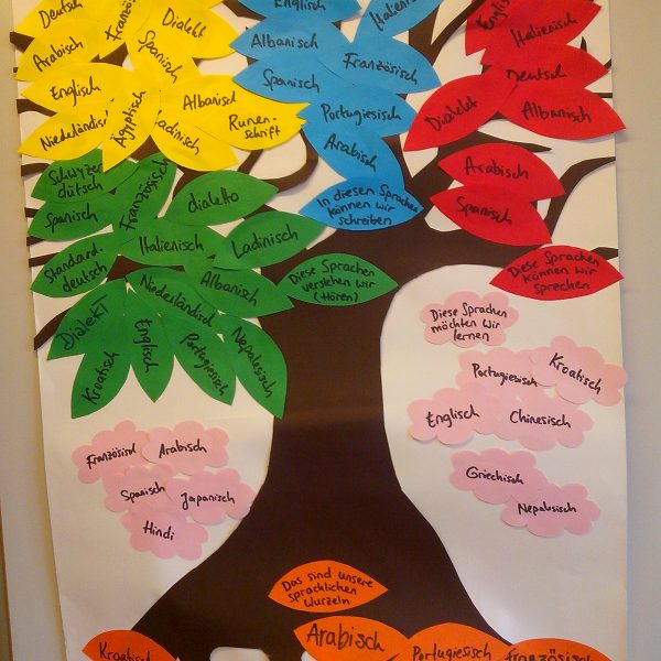 Workshops - SMS - One school, many languages